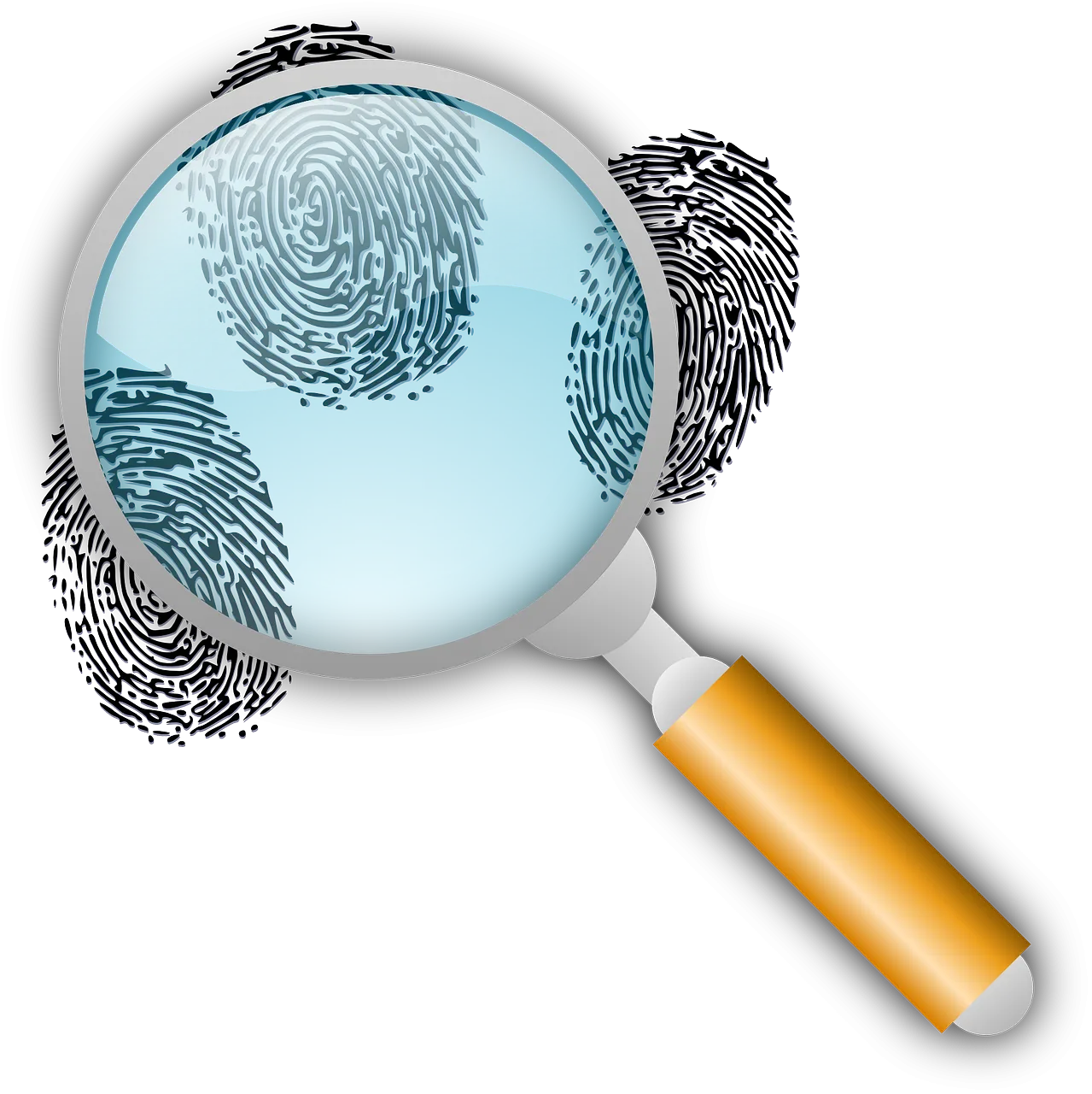 Mobiliteit - Vacante plaats Inspecteur Recherche | Lokale Politie ...