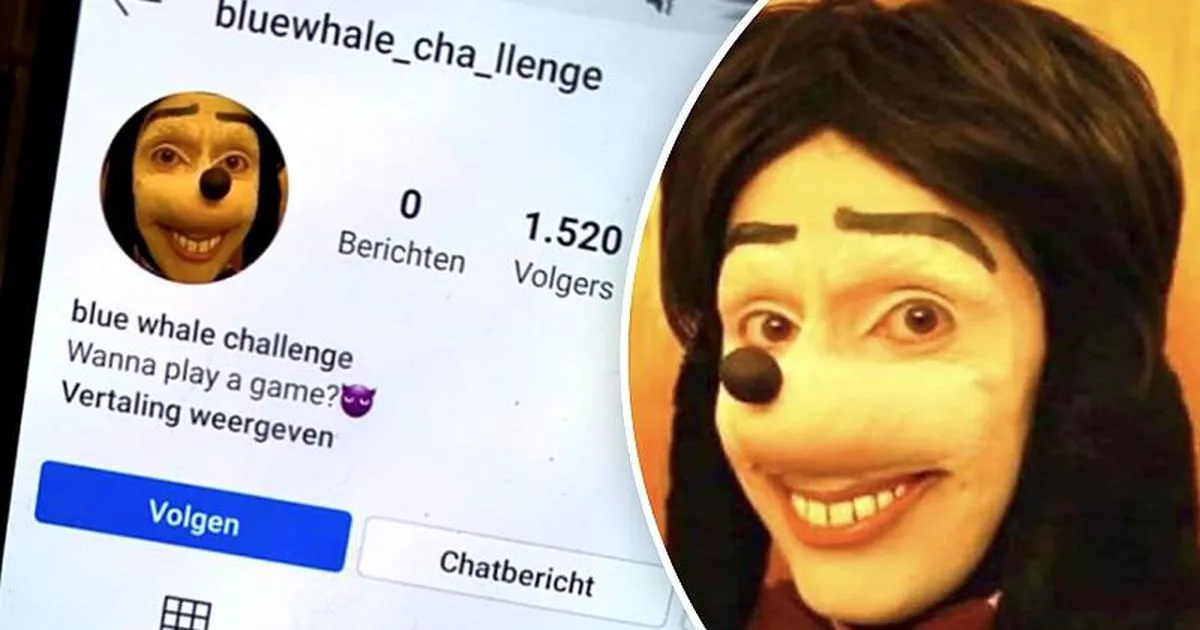 'Blue Whale Challenge' (zelfmoordspel) gaat opnieuw rond op sociale ...
